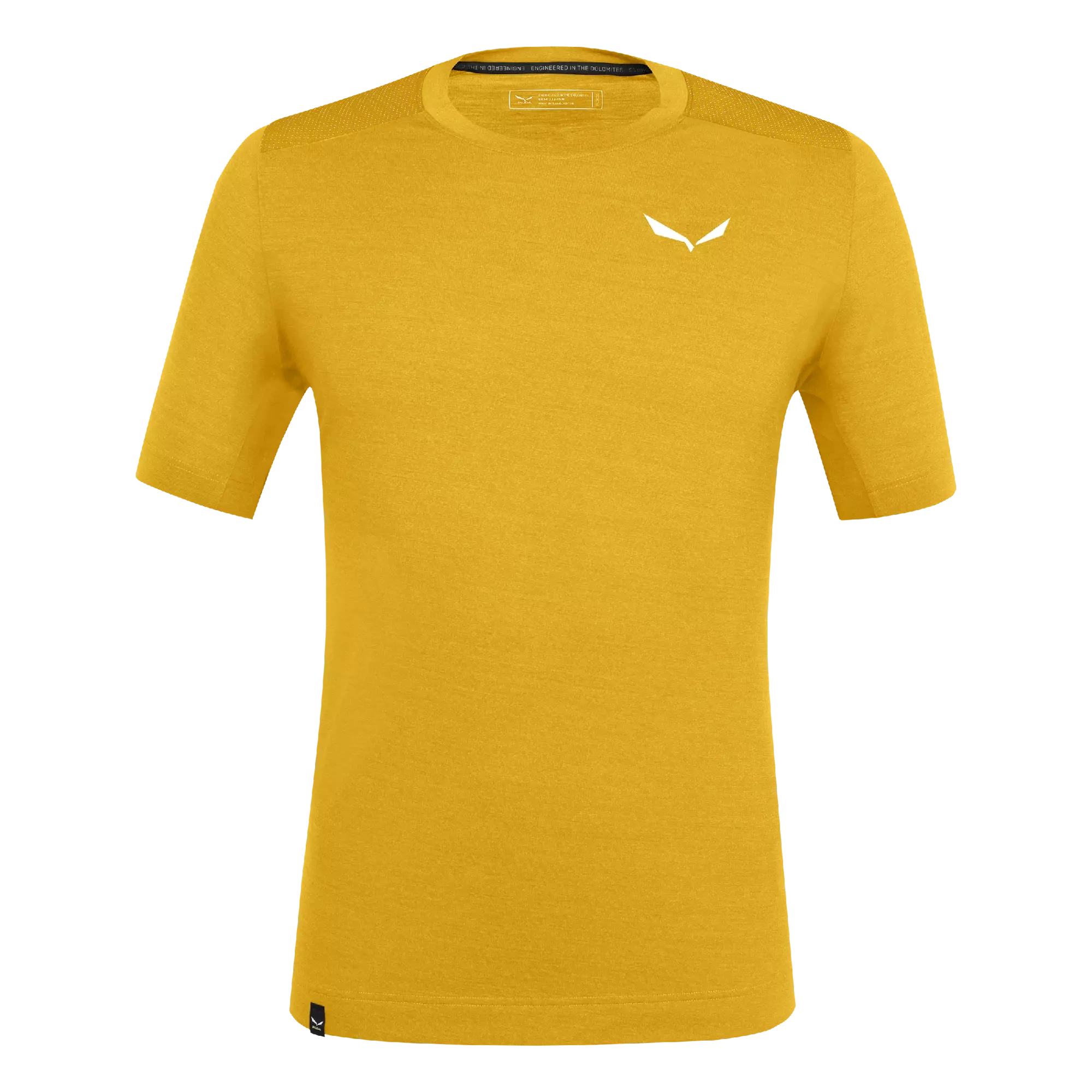 Męska Koszulka Trekkingowa Salewa Agner Am M T-Shirt - gold, Kolor ...